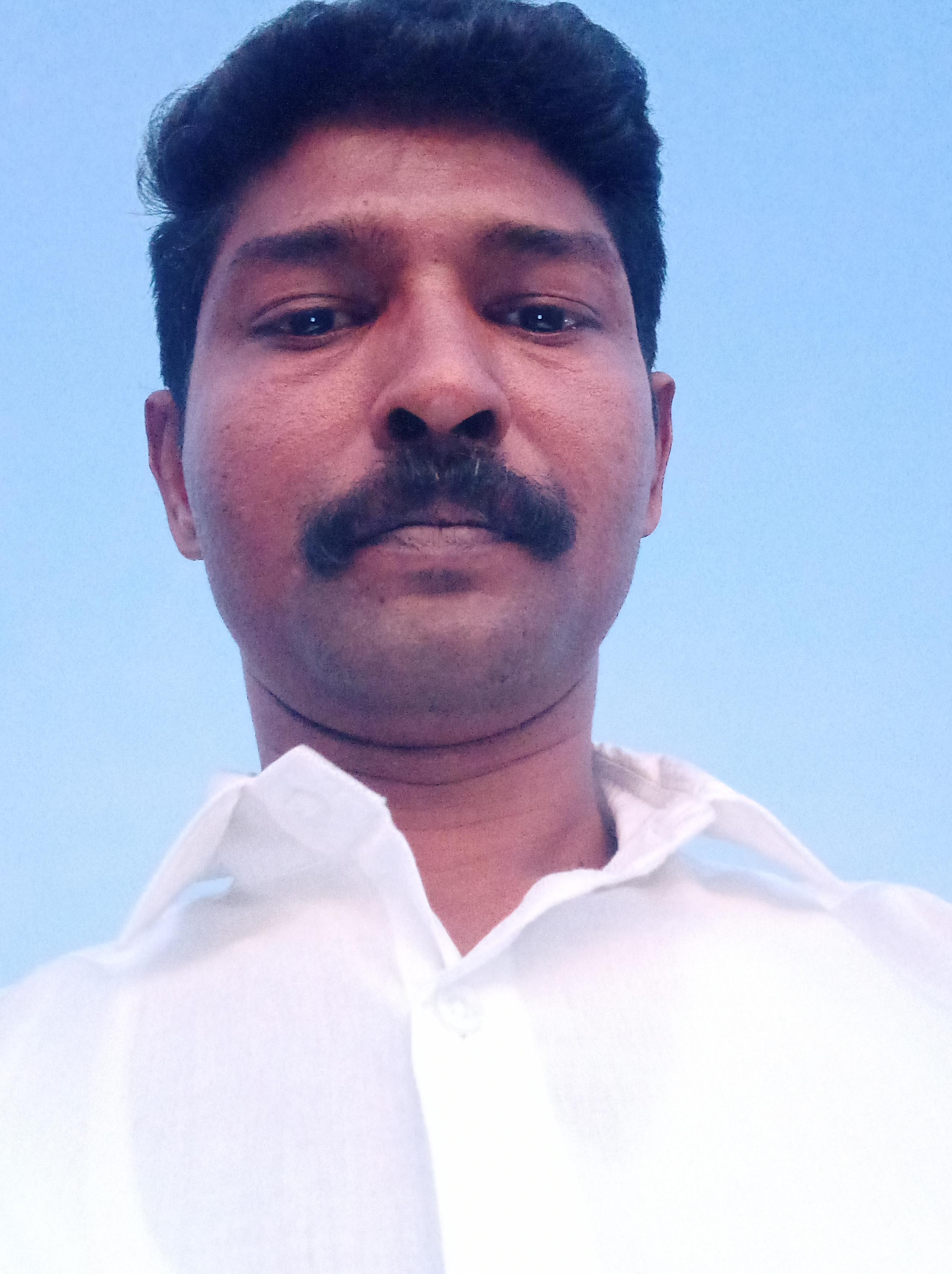 saifa | Stopover Store