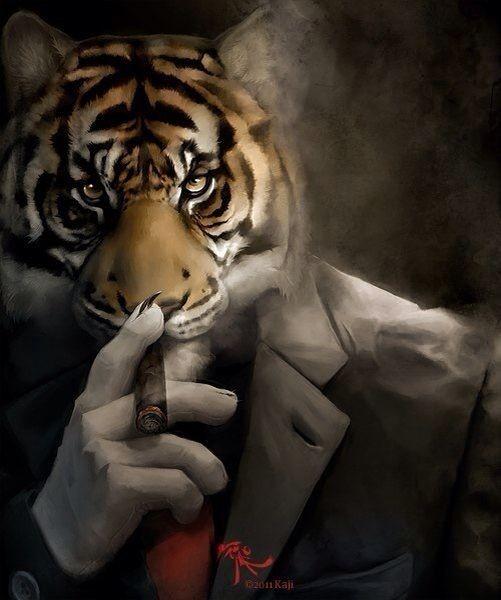 thundertank | Stopover Store