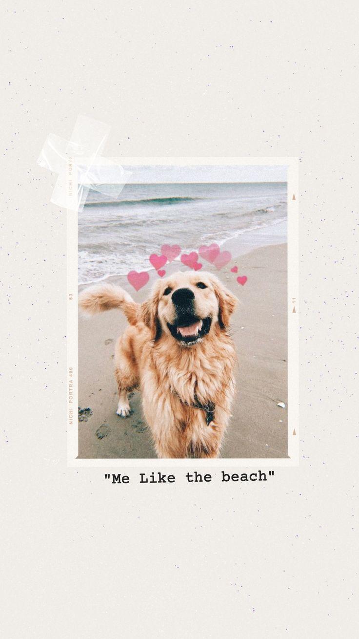 genzs | Stopover Store